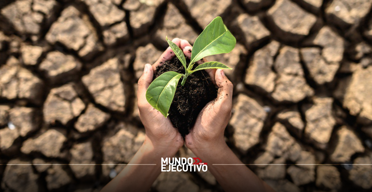 ONGs piden una política ambiental integral en México - Mundo Ejecutivo CDMX