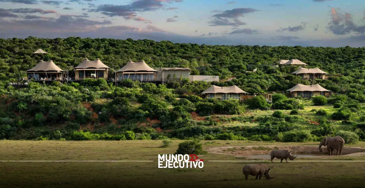 Sudáfrica fortalece su oferta de turismo con safari de lujo - Mundo ...